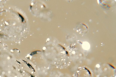 Our Biodegradable Additives - BioSphere Plastic