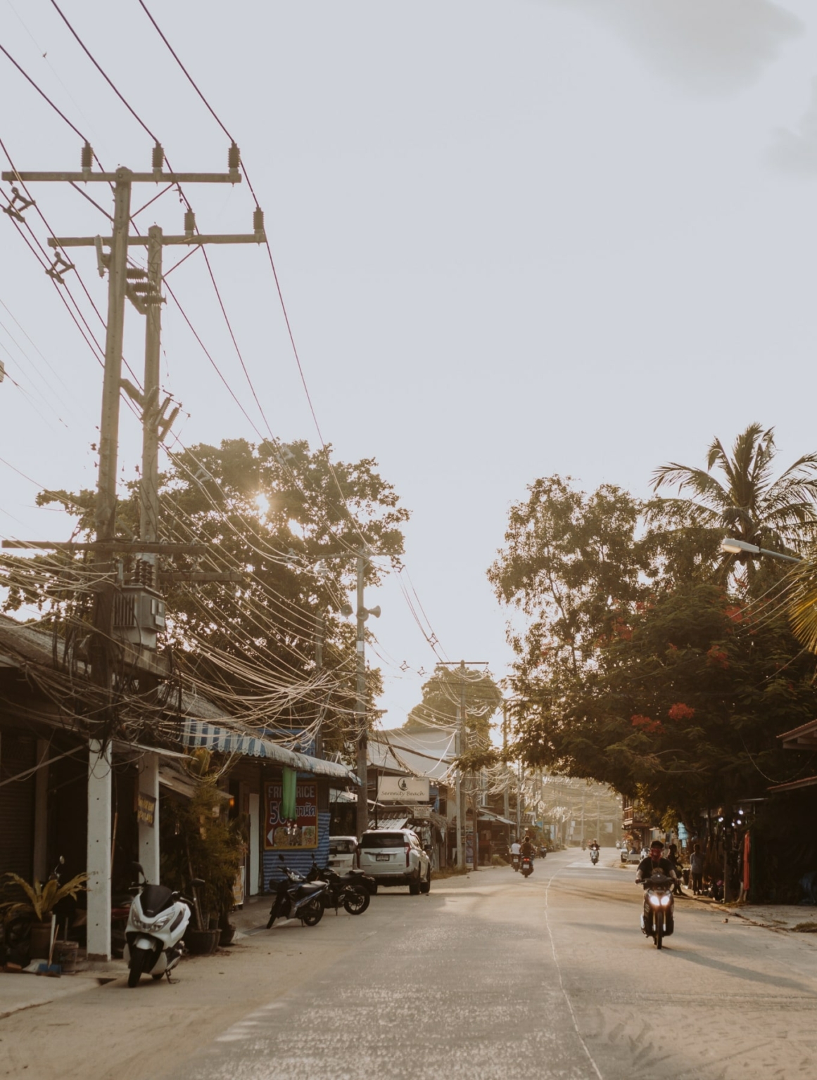 How BioSphere Works - BioSphere Plastic