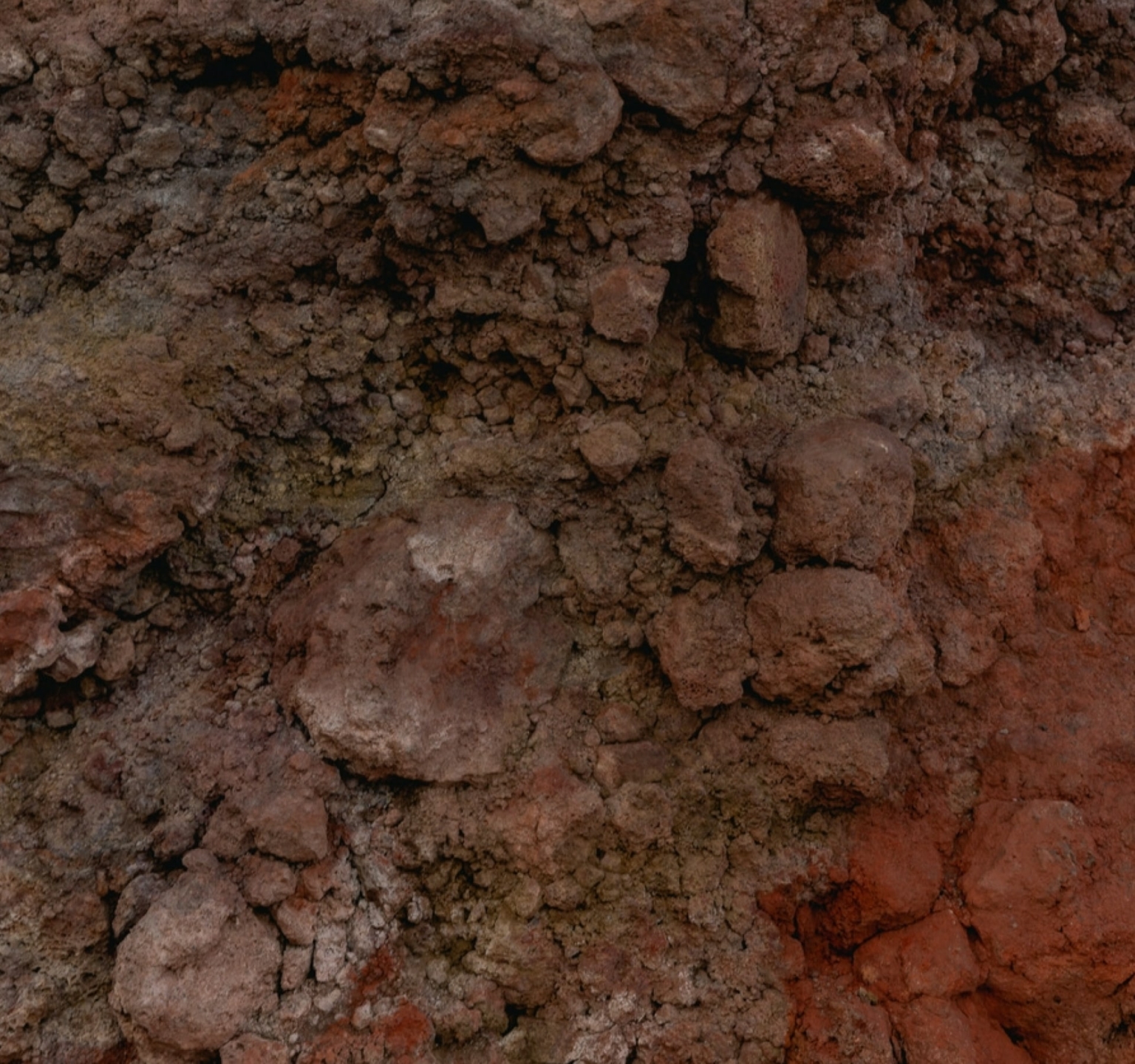 Biodegradation Test Results - BioSphere Plastic