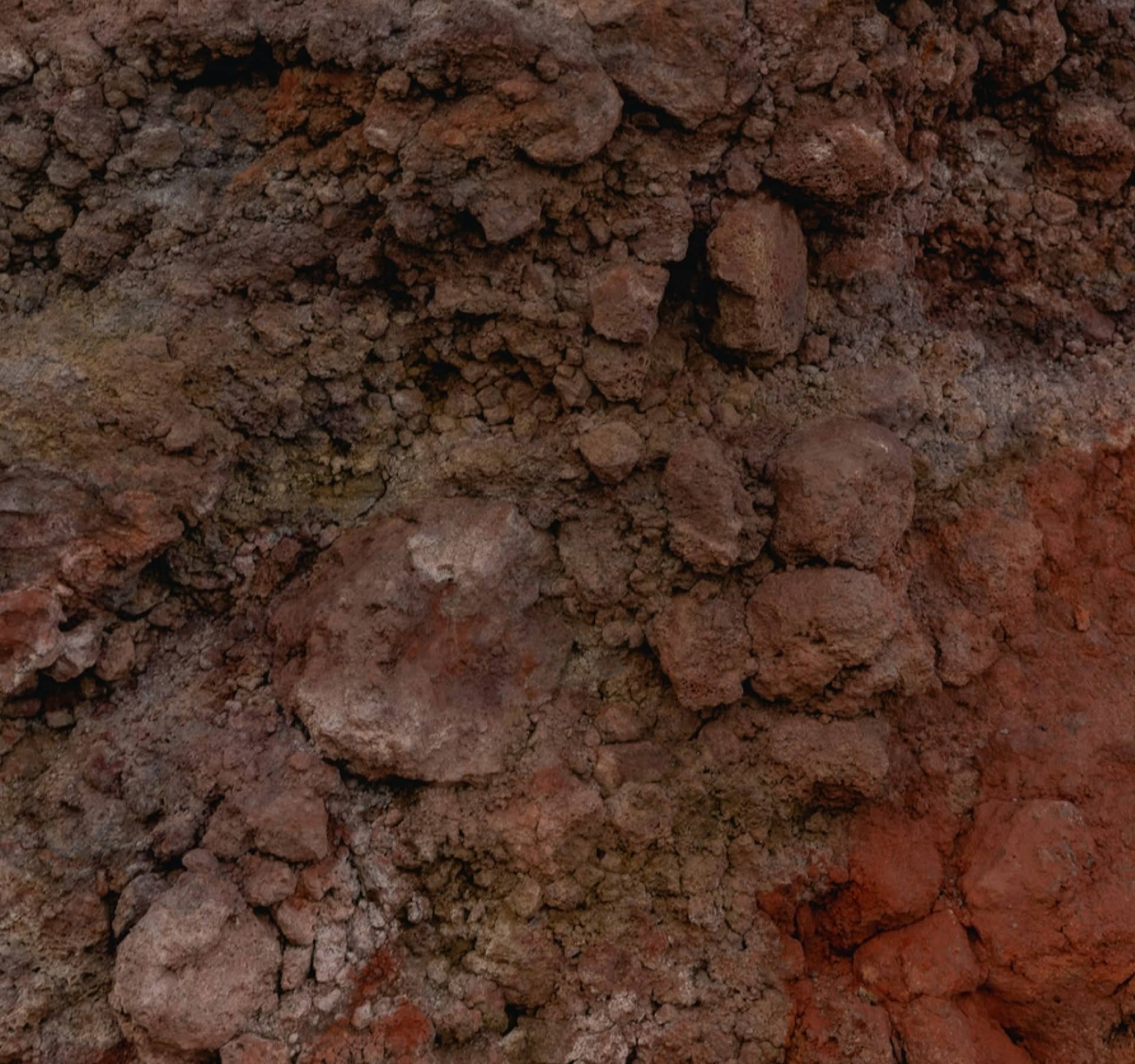 Biodegradation Test Results - BioSphere Plastic